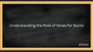 Understanding the Rule of Nines for Burns - Absolute Medical Coding Institute